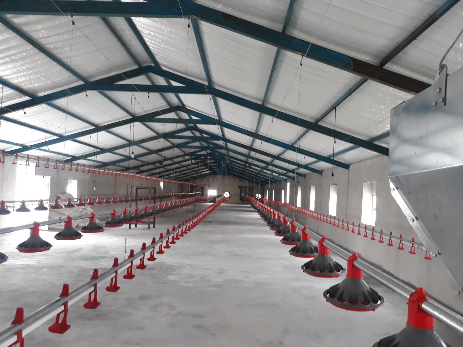 H Section Steel Commercial Chicken House Prefabricated Steel Structure