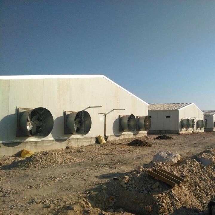 Customized Gable Roof Prefab Poultry House With Insulation Panels