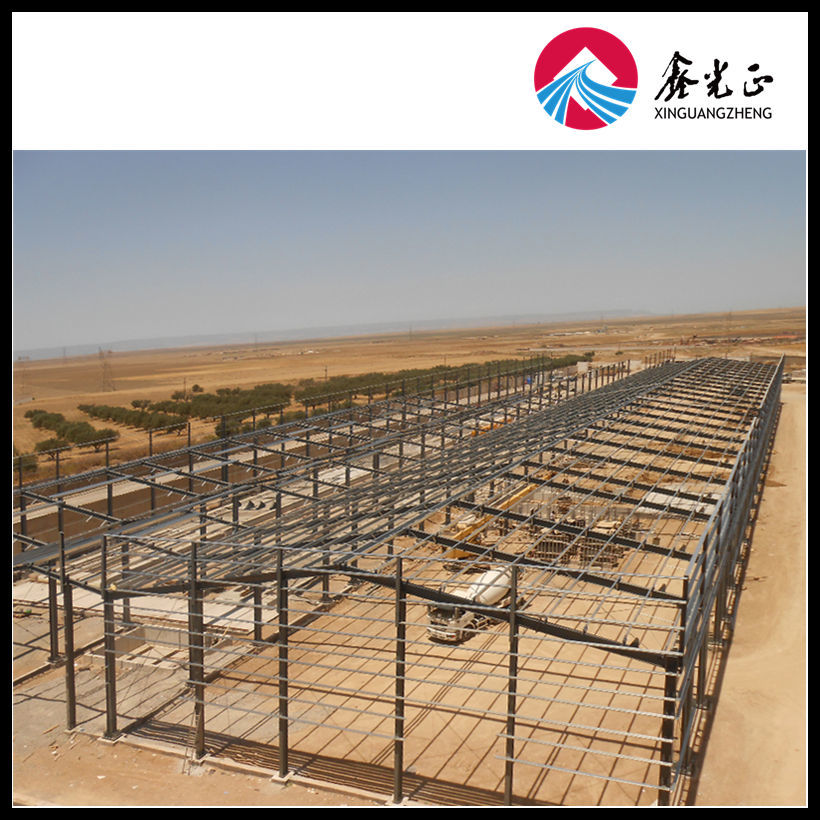 50-Year Steel Workshop Building with 2.3m Parapet & Crane Support